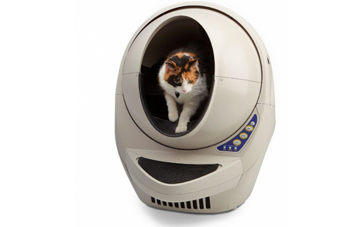 TIPS FOR INTRODUCING THE LITTER ROBOT – Cat Evolution NZ